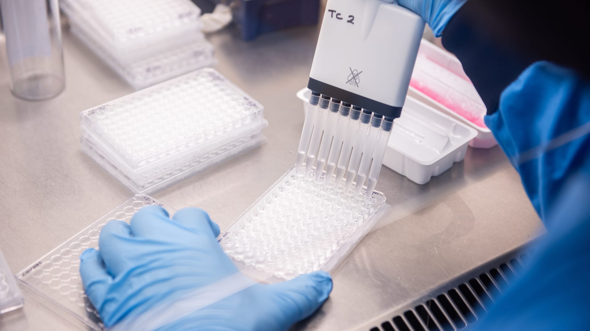 Innovating the present for a sustainable future | Bvlgari Official Store